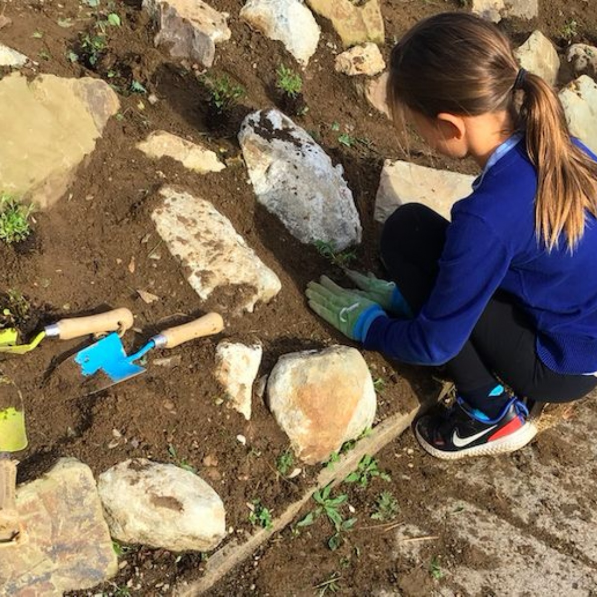 Modbury Primary School - Gardening Club